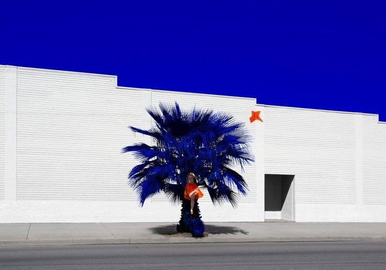 Artist Reine Paradis creates a visual paradise