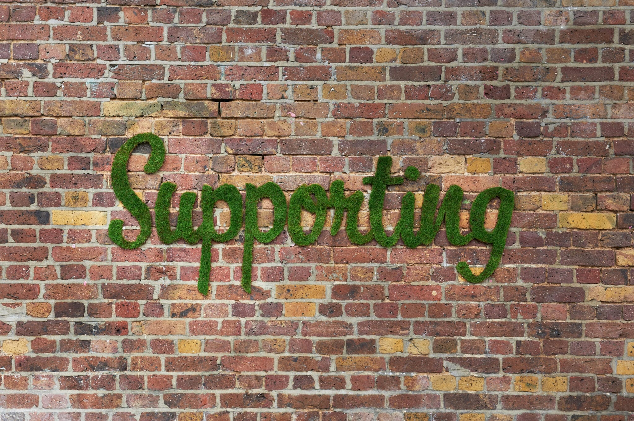 Moss Graffiti Art by Anna Garforth