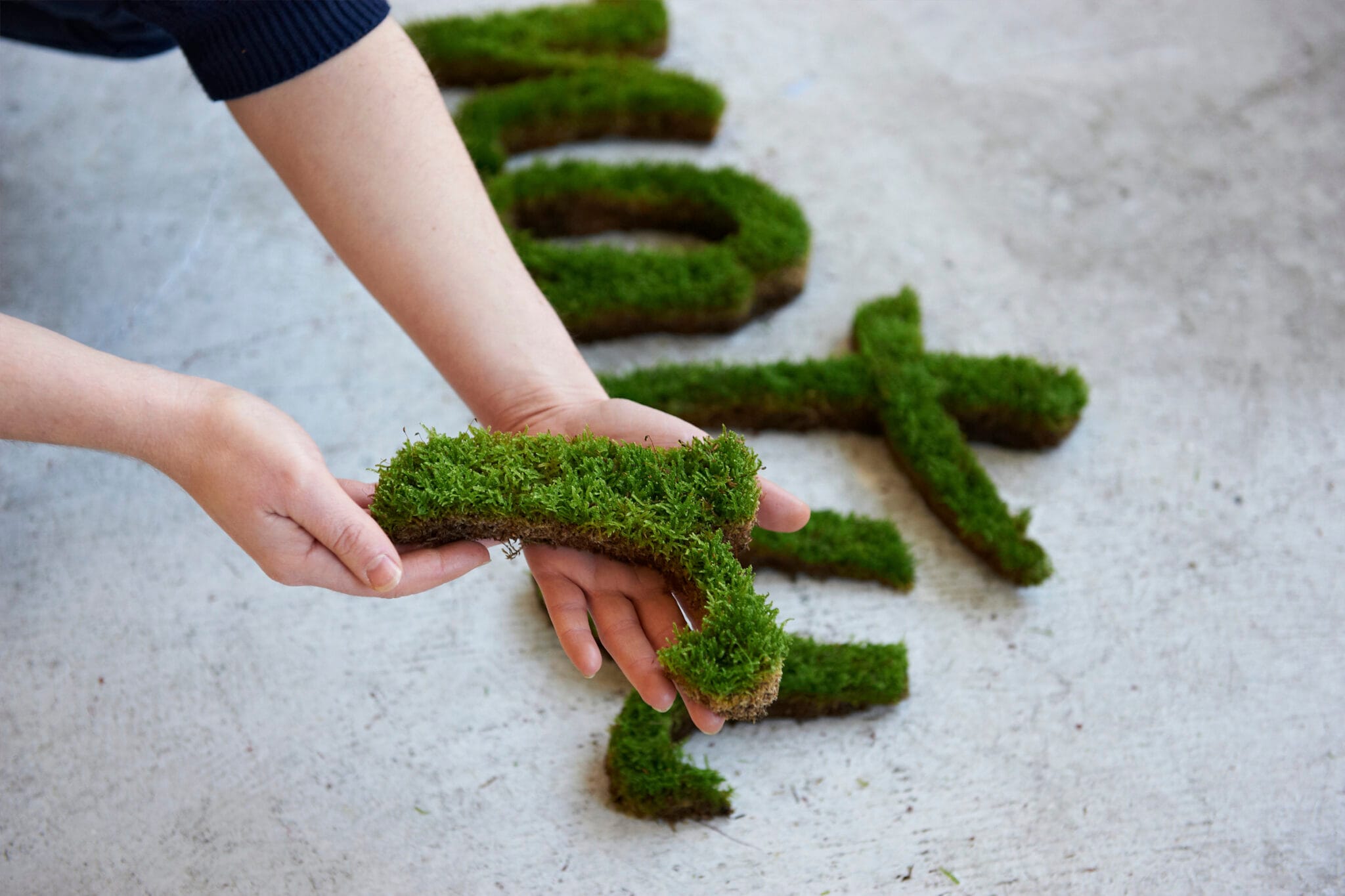 Moss Graffiti Art by Anna Garforth