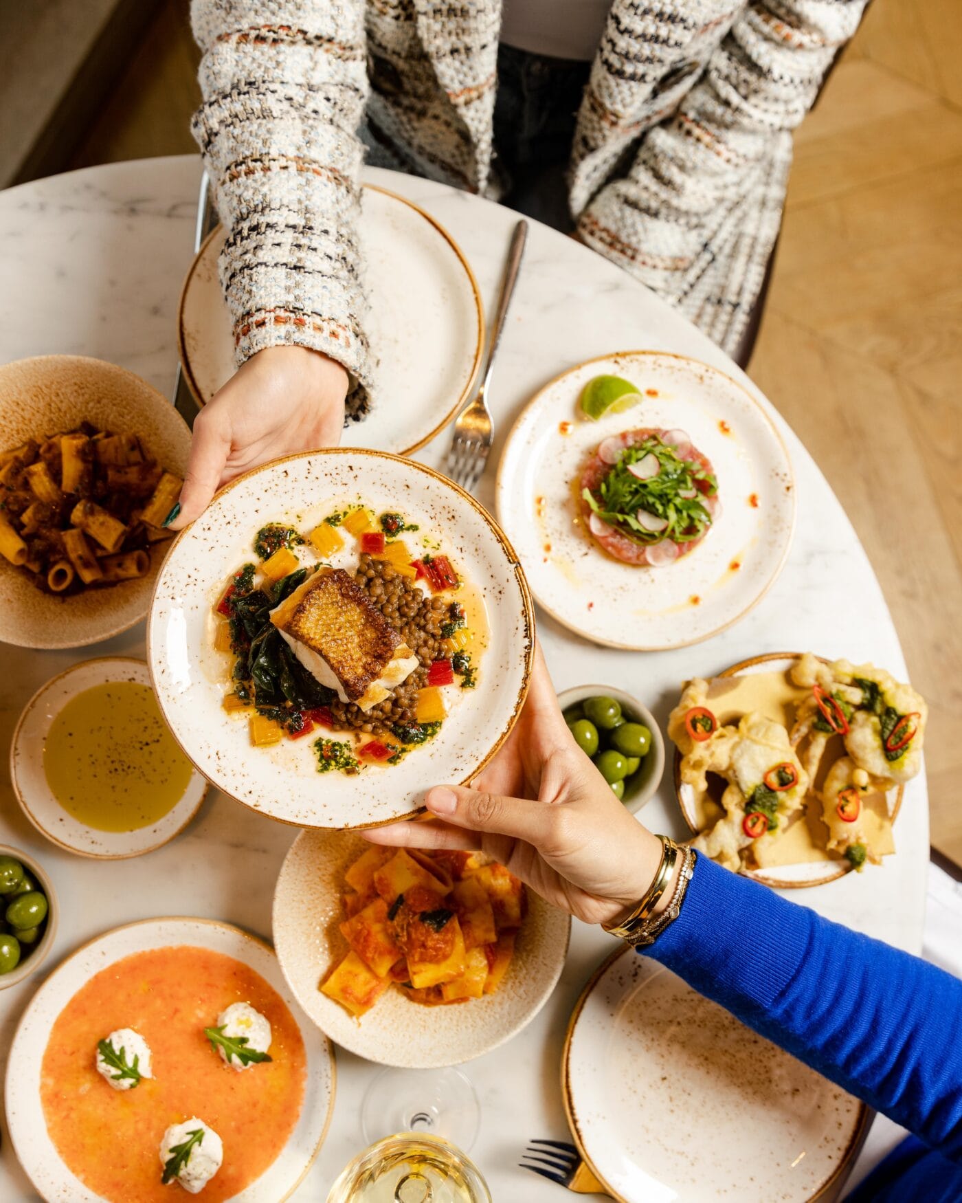 TOZI's Ten year Anniversary celebrations