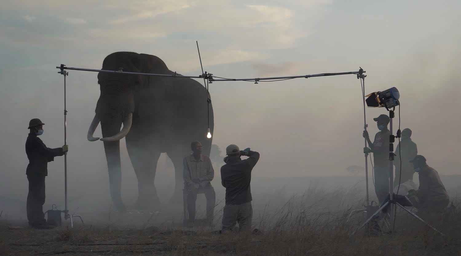 Nick Brandt on Climate and Photography